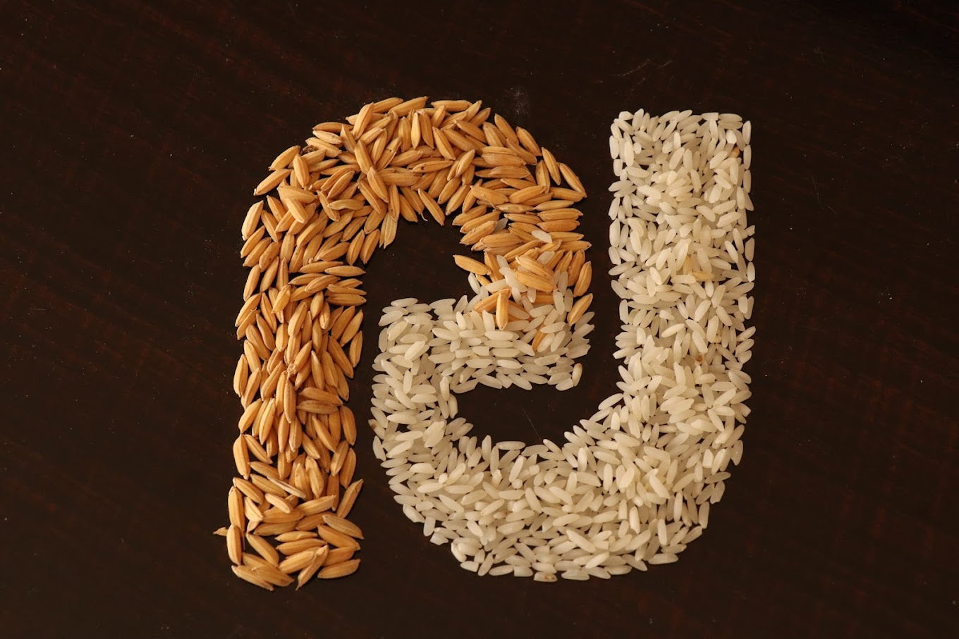 Rilik Agrofarm Industries | Rice Bran | Manufacturers & Suppliers